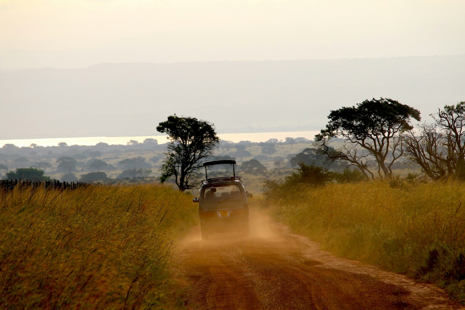 Murchison Falls Game Drives | Day & Night Safari Tours
