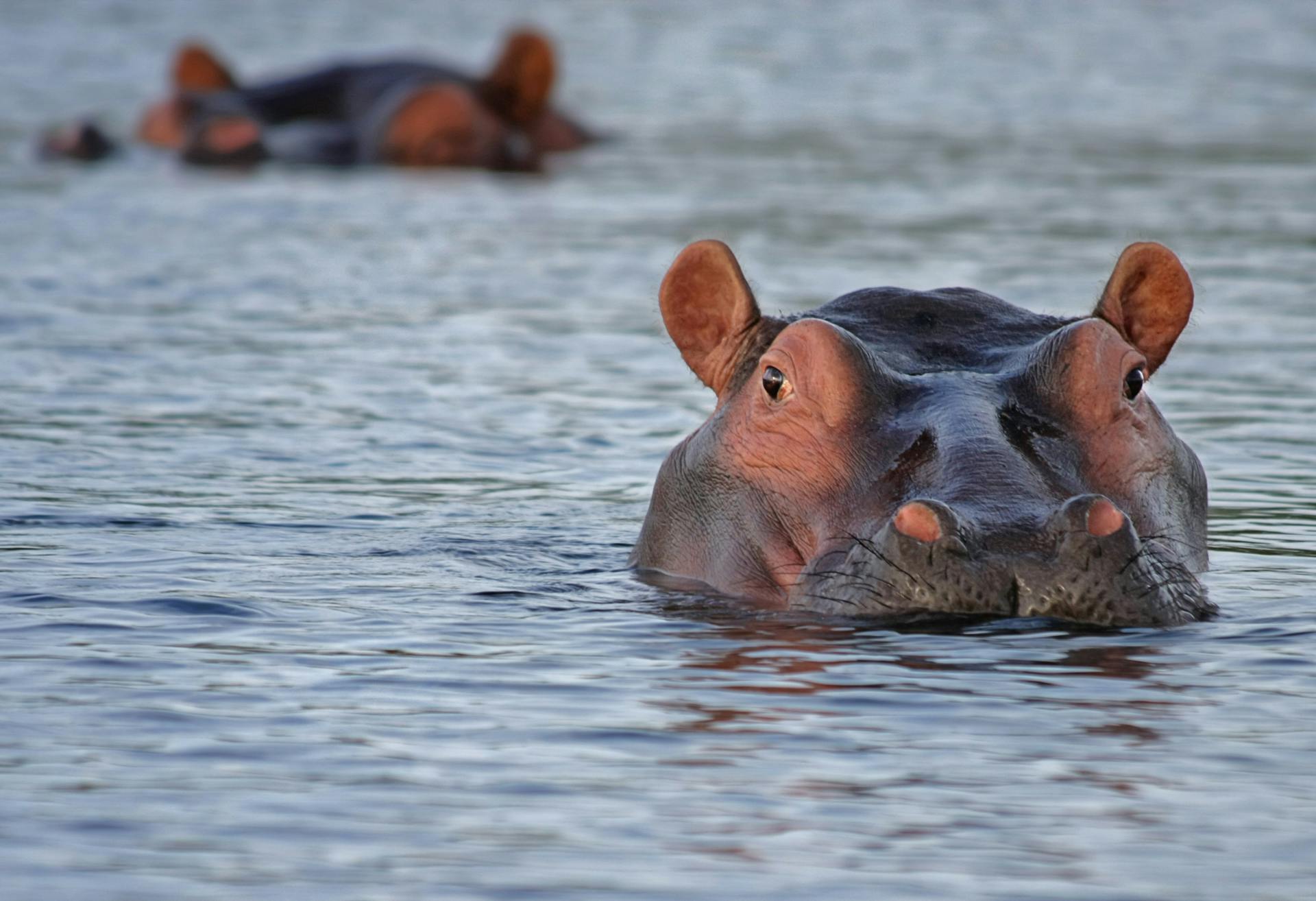 Karuma Wildlife Reserve | Safari Extension
