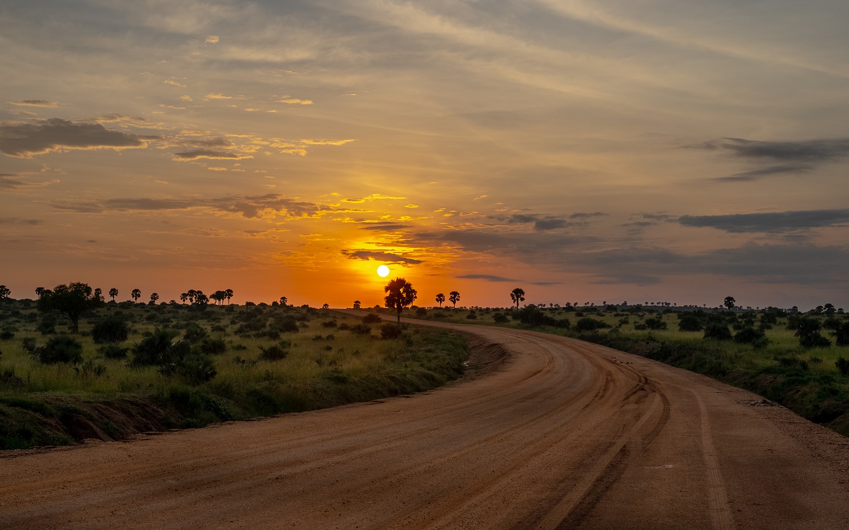 Pakuba Game Track | Best Safari Drive in Murchison